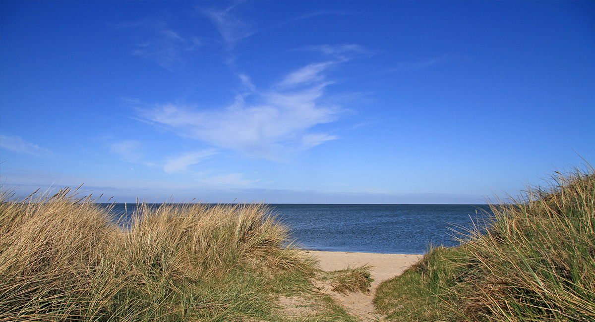 Dit zijn alle bijzondere uitjes in Noord-Holland | 100%NL