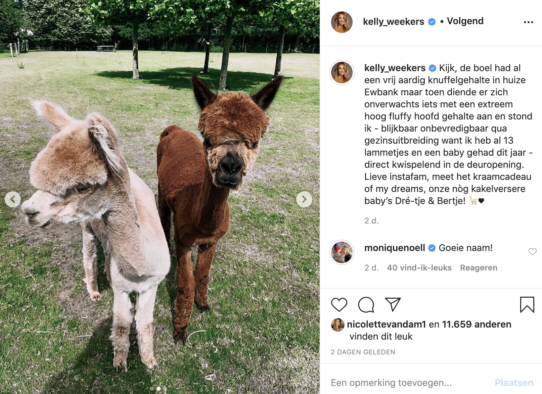 John Ewbank en Kelly Weekers delen hun wel héle bijzondere aanwinsten