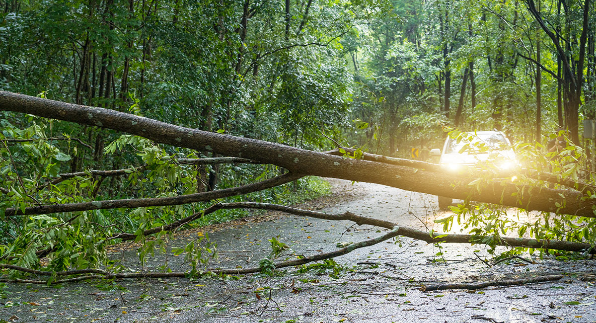 Héél veel regen en zware windstoten: zolang zal de storm nog duren ...