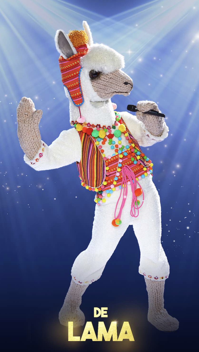 De kijkers weten het zeker: déze BN’ers zitten in de kostuums van ‘The ...