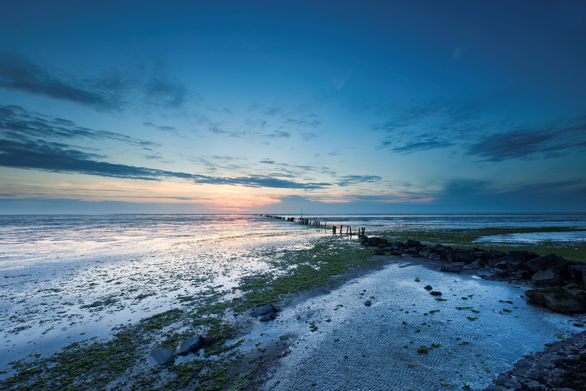 GESLOTEN: Dé leukste stranden in Nederland aan de zoute en zoete kust