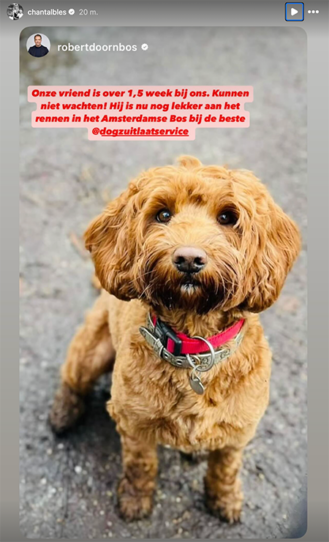 Dolgelukkige Chantal Bles en Robert Doornbos: 'We kunnen niet wachten!!'